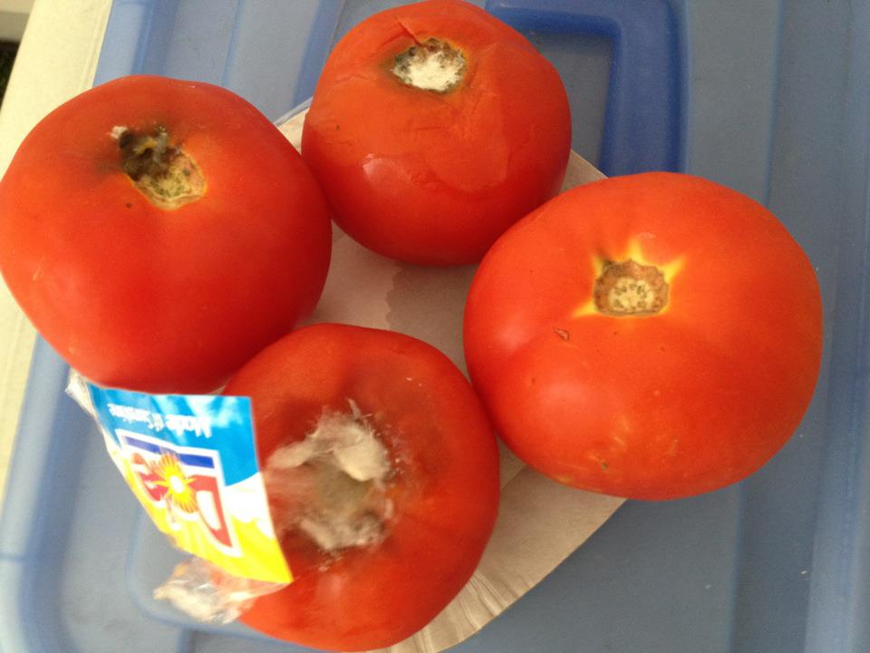 cobyisms.com: Ugly rotten tomatoes