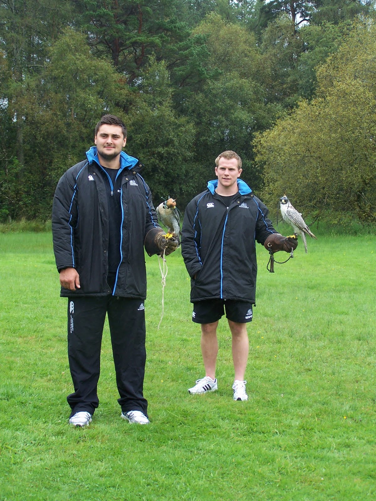 Strathblane Falconry News: August 2011