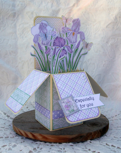 Ella's Design: Iris pop up box...