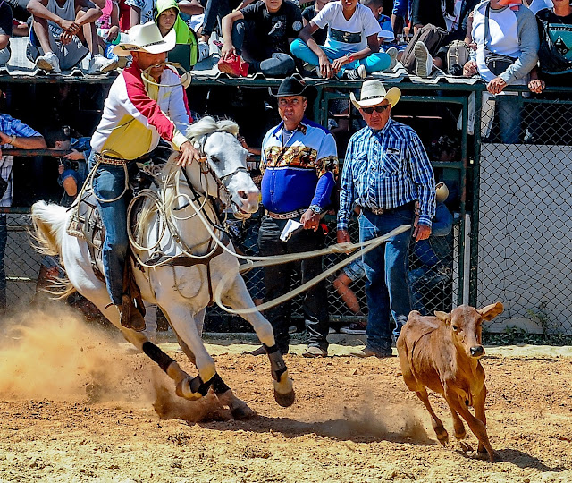 En el Colimador: ¿Rodeo cubano, espectáculo o deporte?