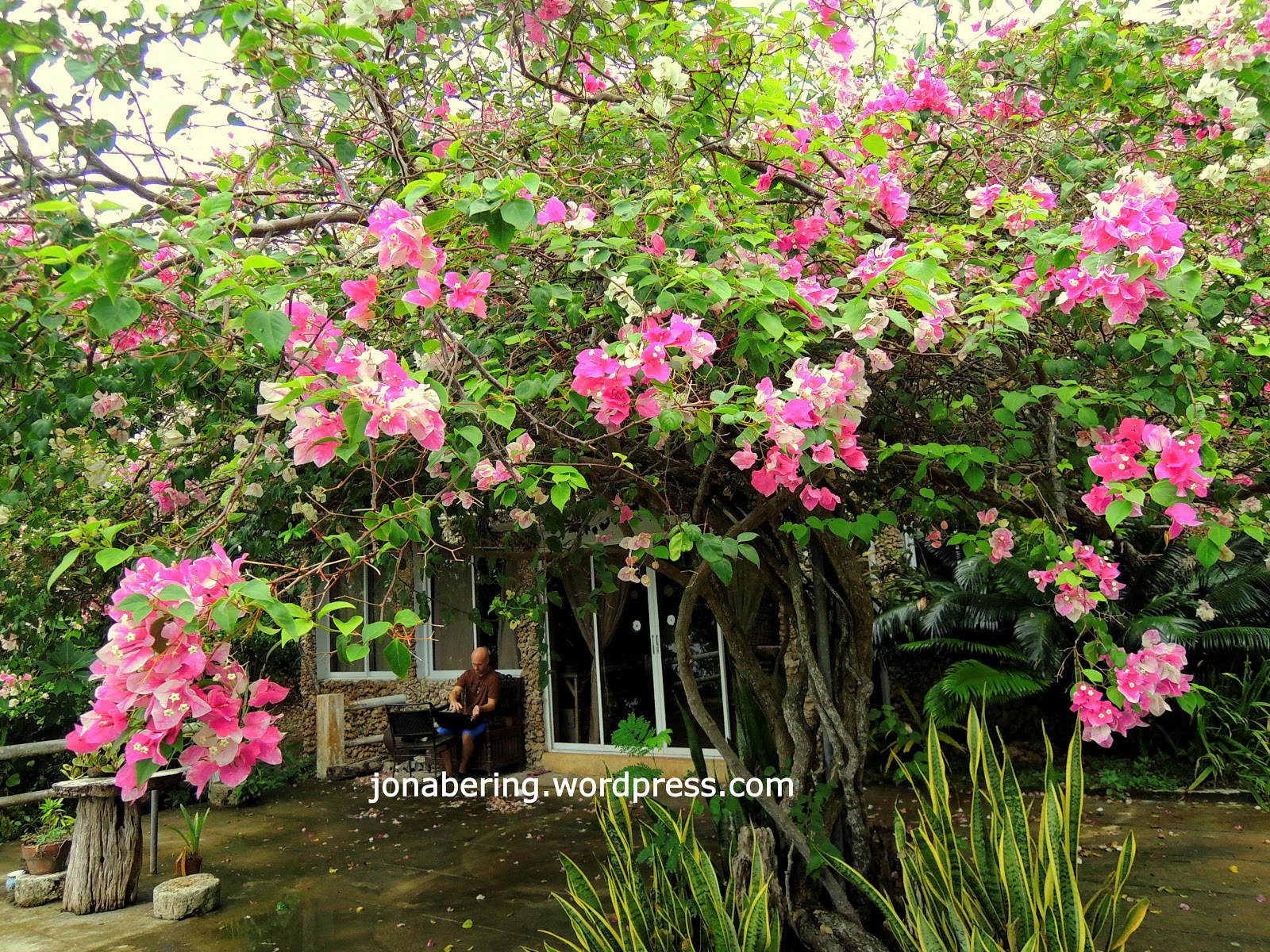 Photographs as Memories: Bantayan Island Nature Park and Resort: Its ...
