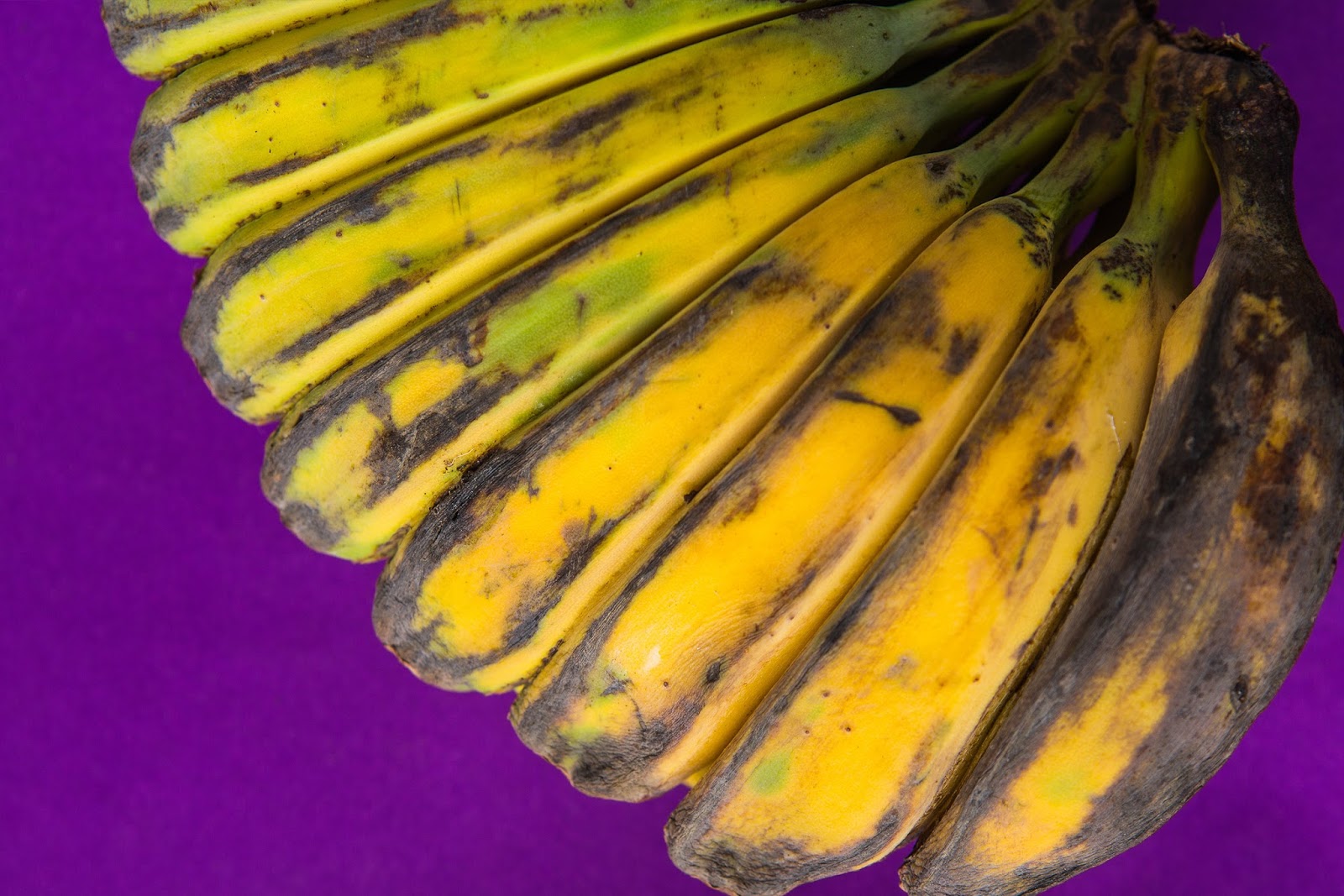 lakatan - philippin news collections