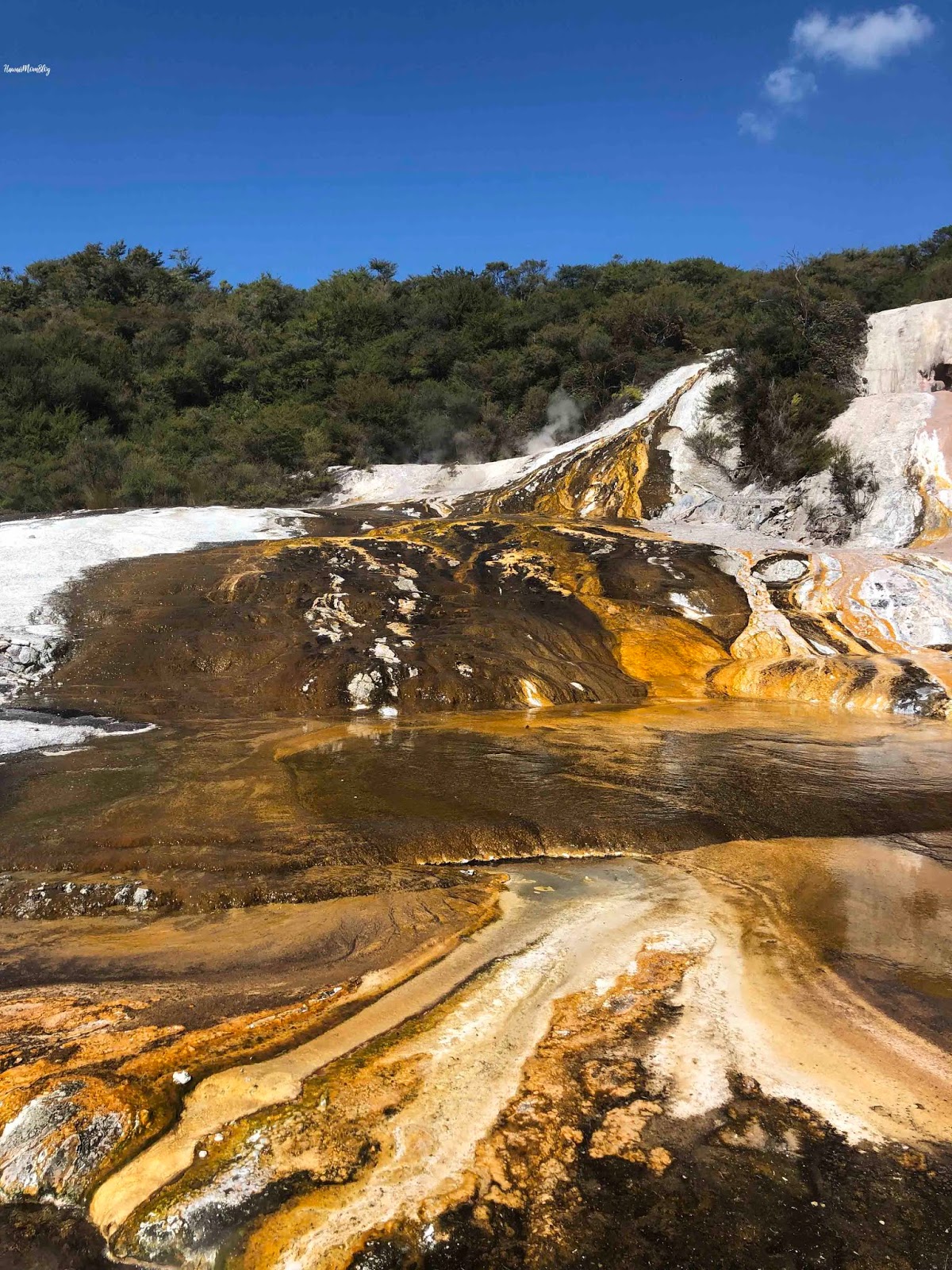 Hawaii Mom Blog: Visit New Zealand: Orakei Korako Geothermal Park