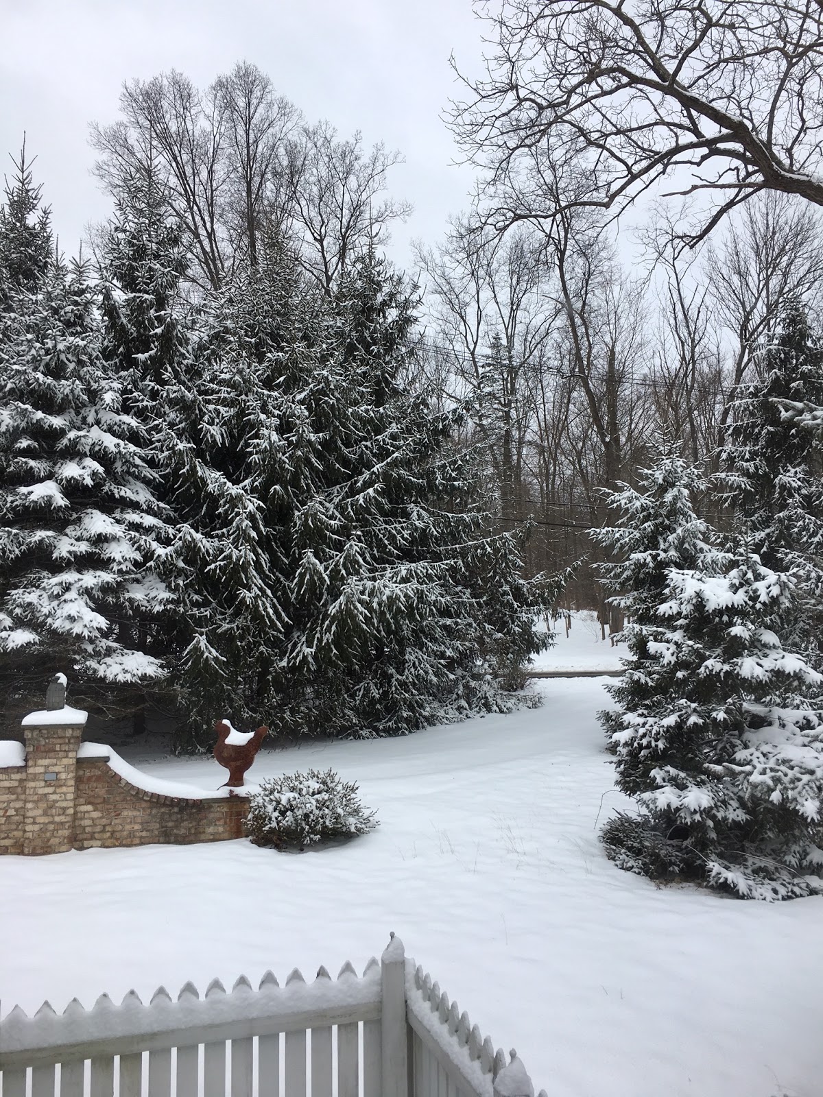 Content in a Cottage: Saturday Morning Snowfall: My Cottage