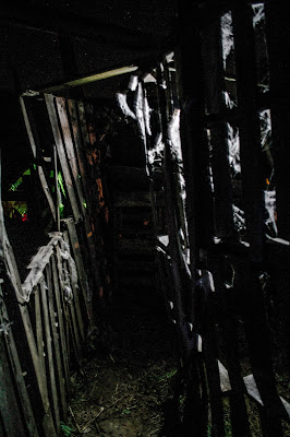 Something wicKED this way comes....: Sneak Peek into The Backwoods ...