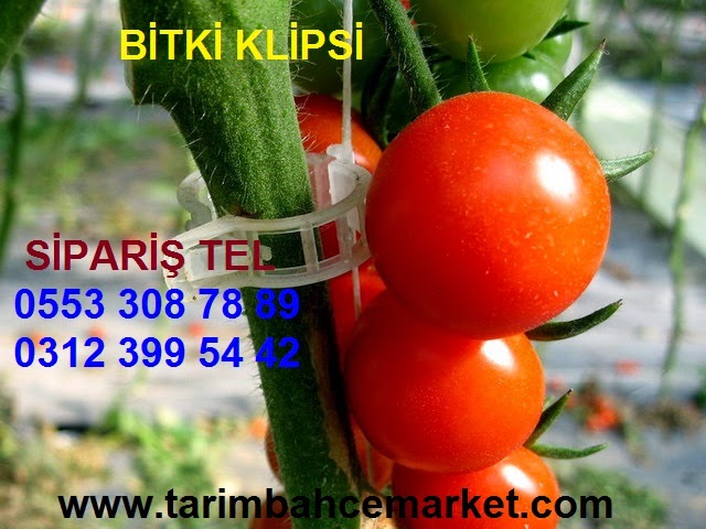 tarimbahcemarket: Bitki klipsi,bitki klipsleri,domates klipsi,bitki ...