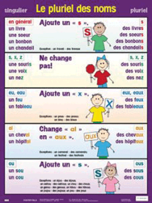 Mon école FLE A1: Le pluriel des noms et des adjectifs