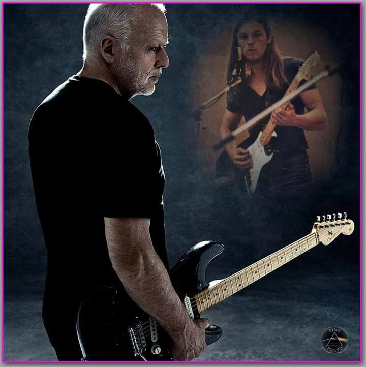 The Feral Irishman: Happy Birthday David Gilmour.... 72 Years Old...