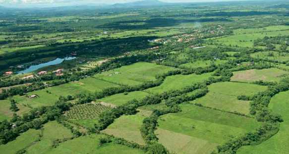 CENTRO GEOGRAFICO DE COLOMBIA: puerto Lopez META