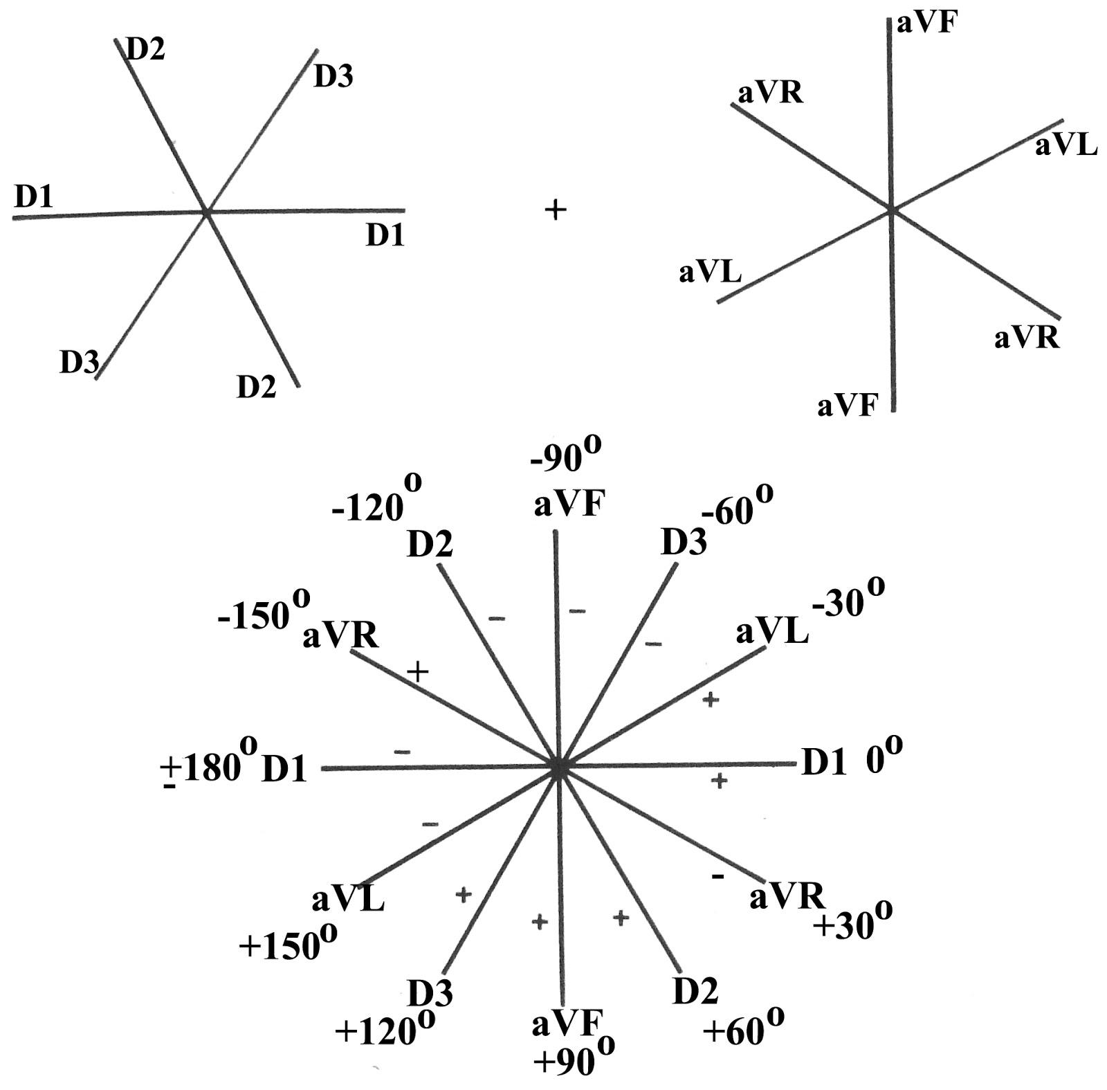 Electrocardiografie Veterinara: Axul electric cardiac