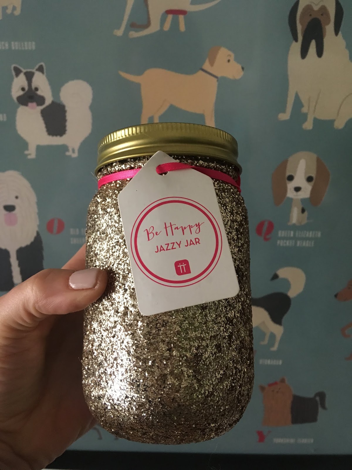 POTE DE DESEJOS - Babi Pereira