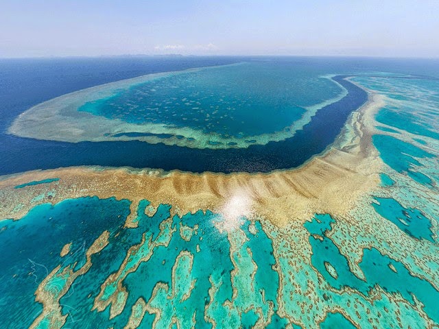 Earth Locations: ΜΕΓΑΛΟΣ ΚΟΡΑΛΛΙΟΓΕΝΗΣ ΥΦΑΛΟΣ - ΚΟΥΪΝΣΛΑΝΤ - ΑΥΣΤΡΑΛΙΑ ...