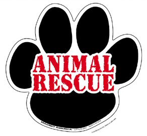 PICTURE BUGS: Animal Rescue