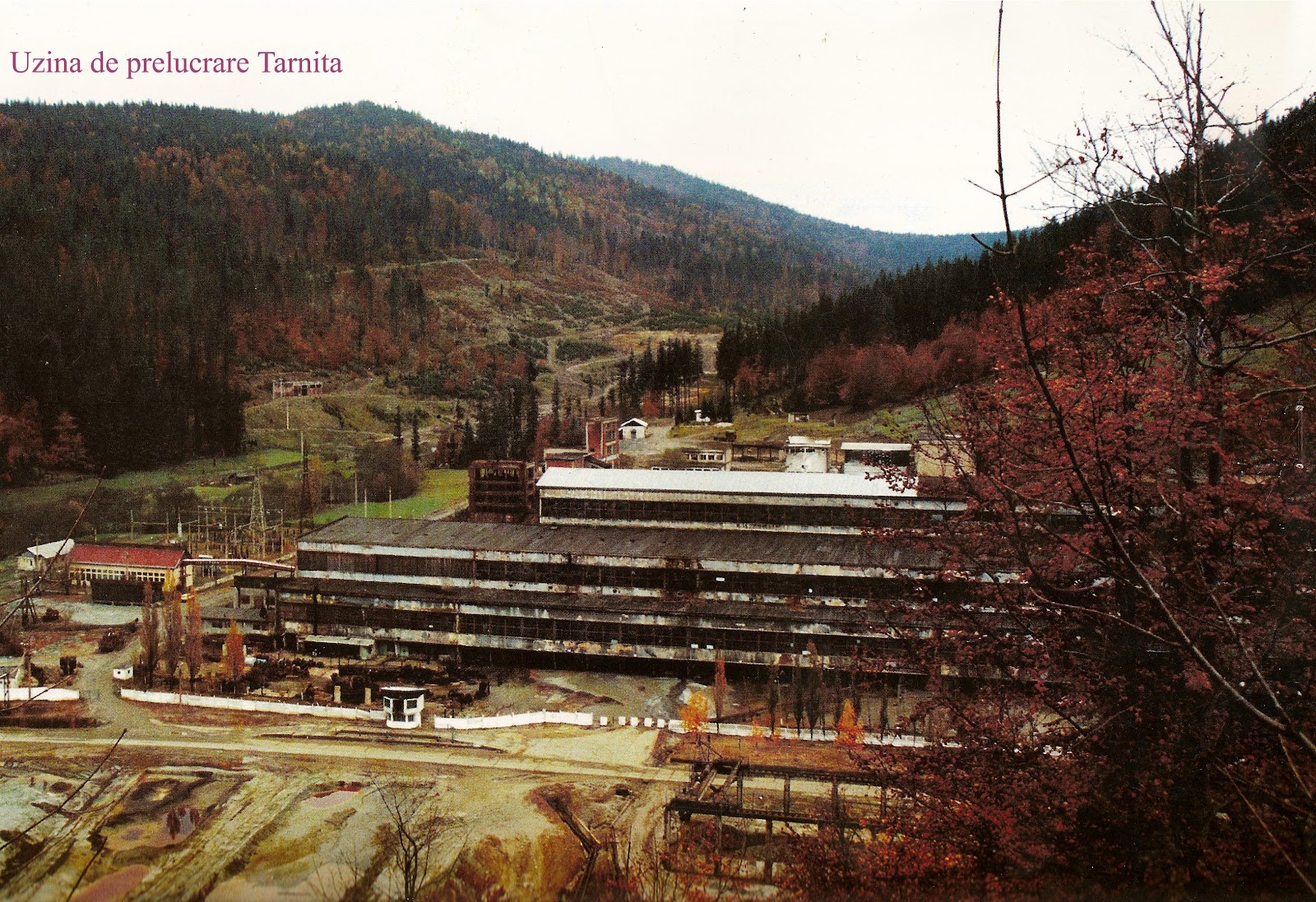 BROSTENI - OCUPATIA MINERIT: Scurt istoric al mineritului din Brosteni