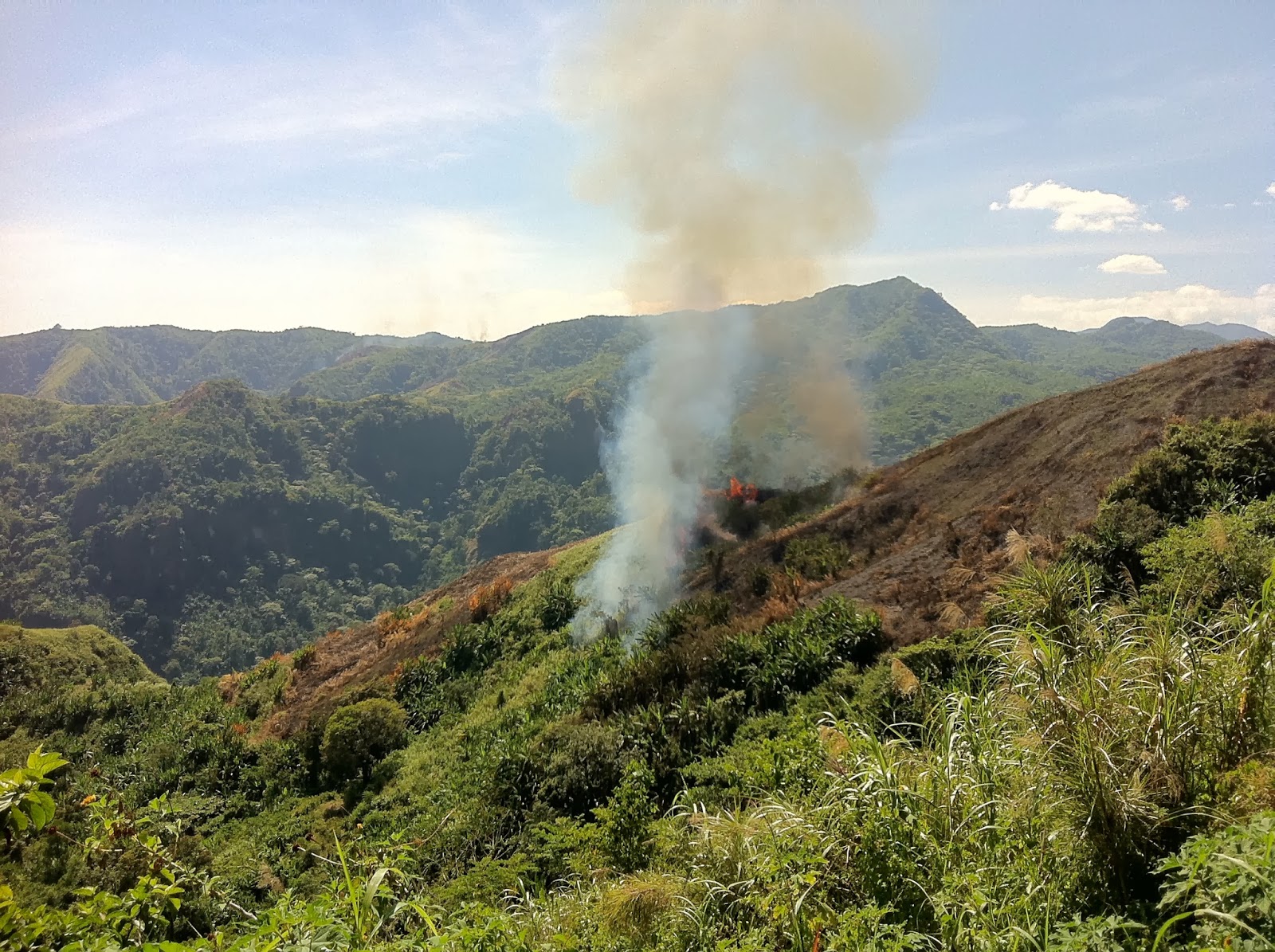 ultrarunning and beyond ...: Weekend runs in (new) Lone Peak 1.5