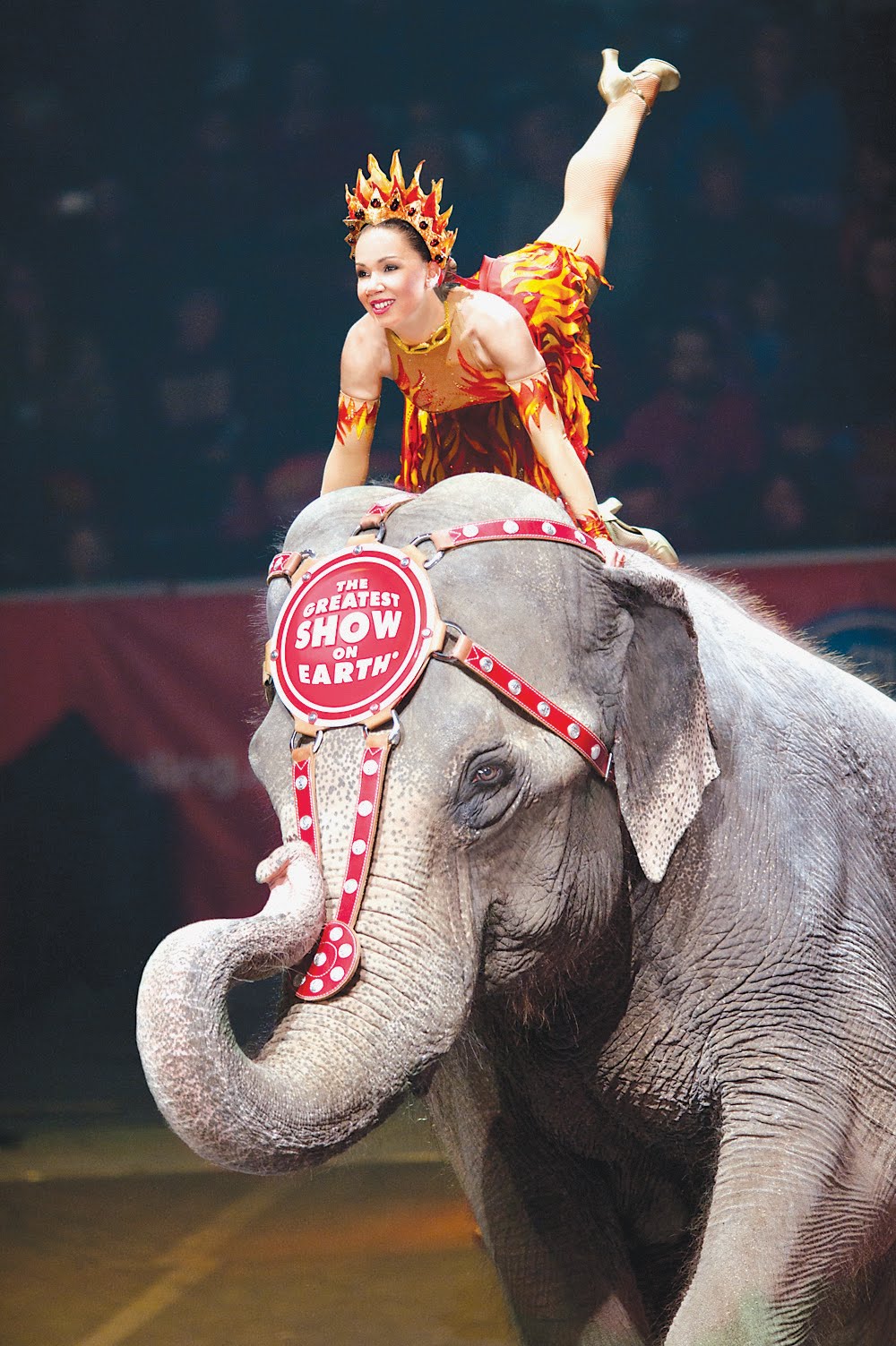 The Voice Newspapers, Serving Chicago's West Side: MOST ELECTRIFYING ...