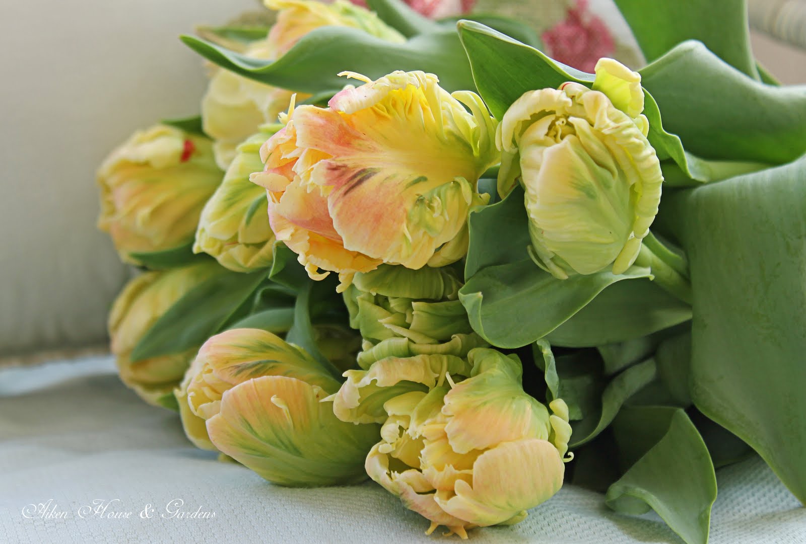 Aiken House & Gardens: Spring Cheer