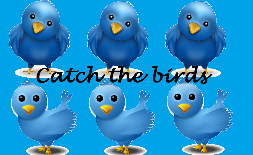 How to Expand Your Twitter Network