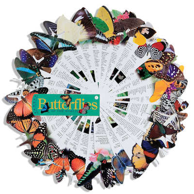 Eccentric Eclectic Woman: Fandex Family Field Guide Review and Educents ...