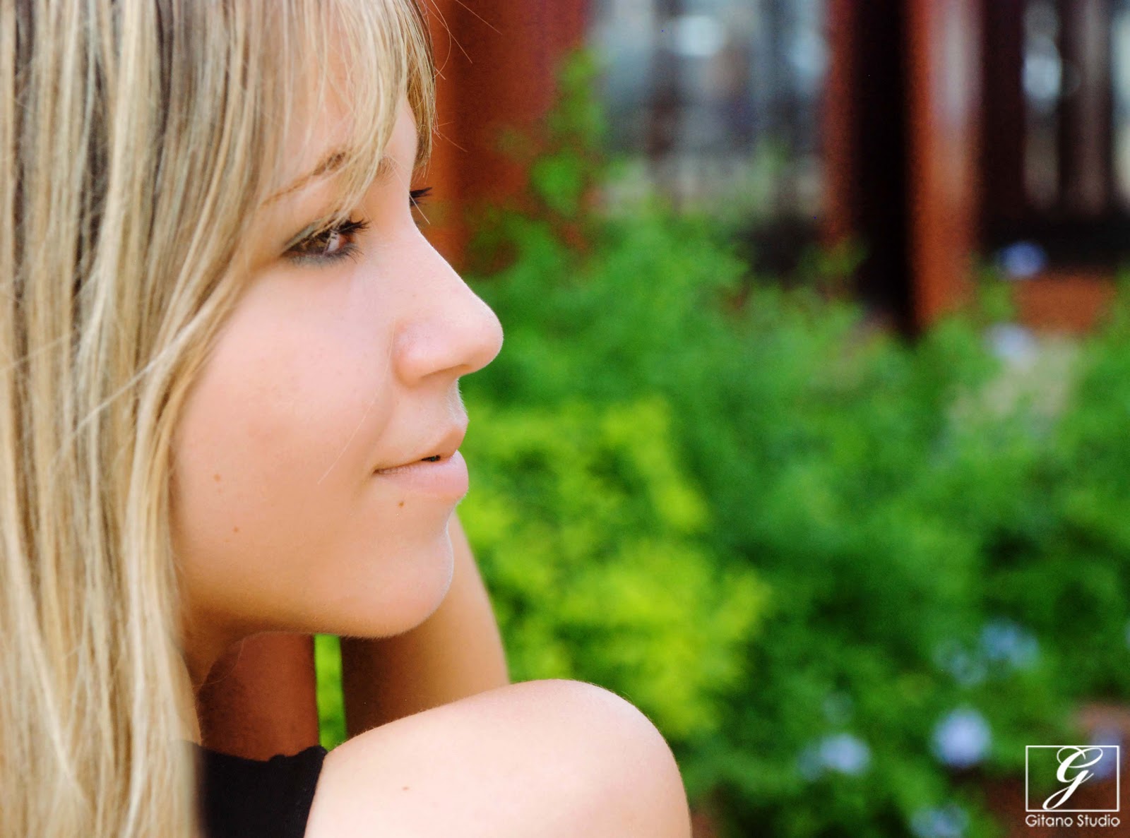 Gitano Studio: Book de Alice Lima