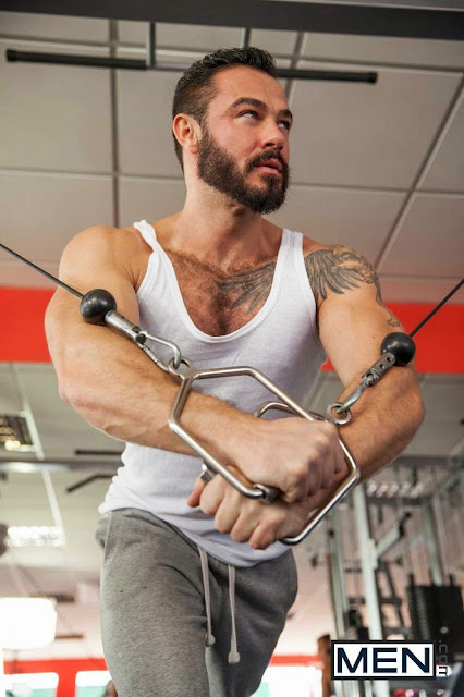 Daily Bodybuilding Motivation Jessy Ares And Theo Ford