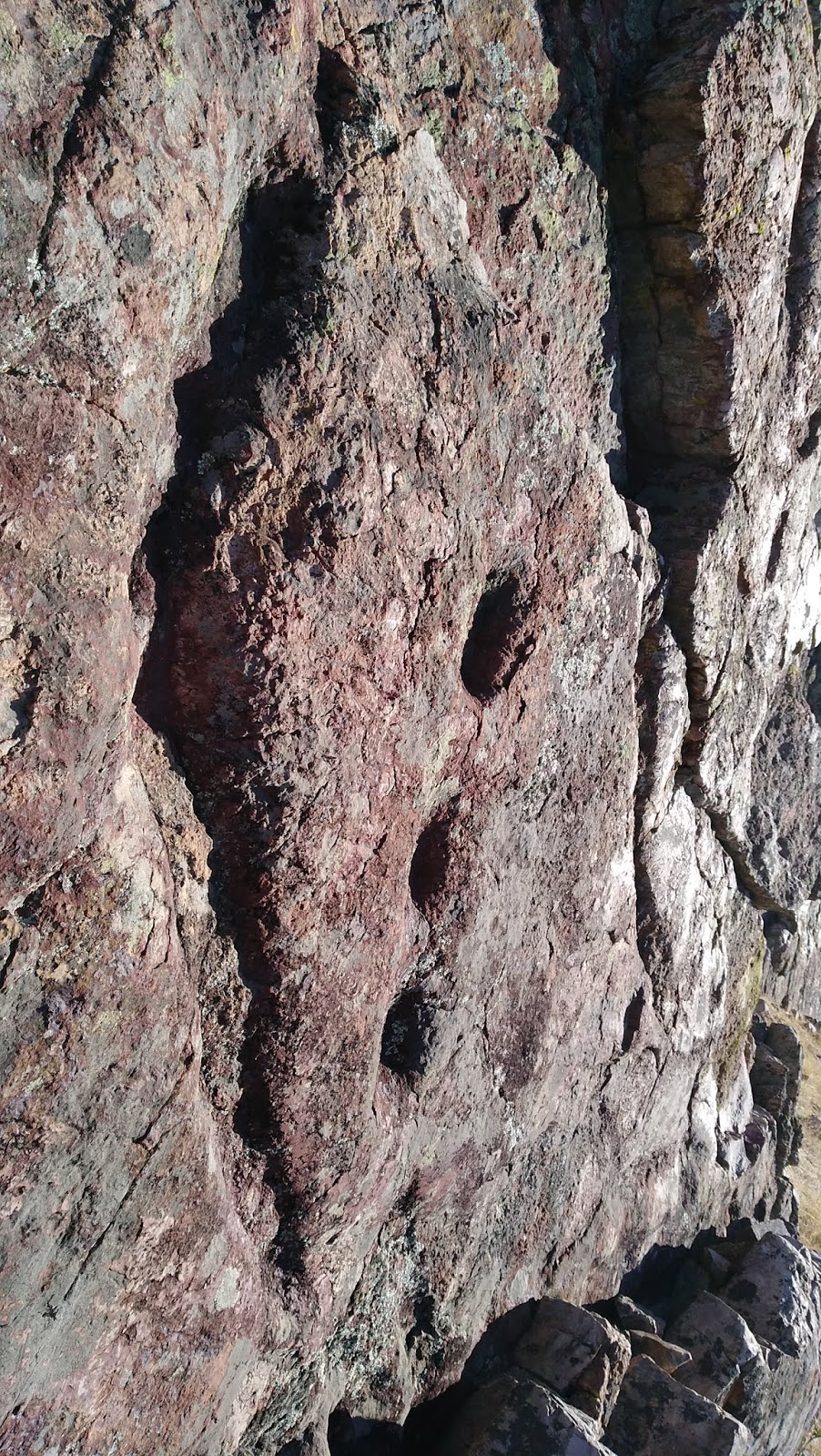 Arroba de los Montes: EL GUSANO GIGANTE FOSIL(Paleoficus tubularis) EN ...