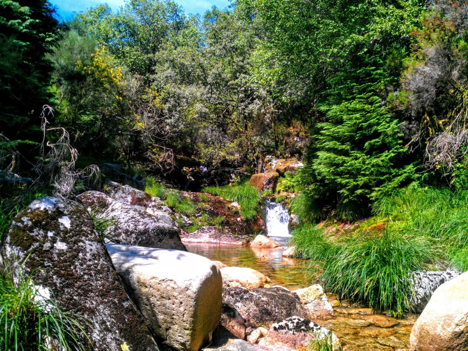 Portugal - Conheça o Mais Belo País da Europa : Lagoas da Travanca ...