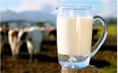 Susu Sapi Murni: Susu Sapi Murni 100% asli. Delivery order untuk daerah ...