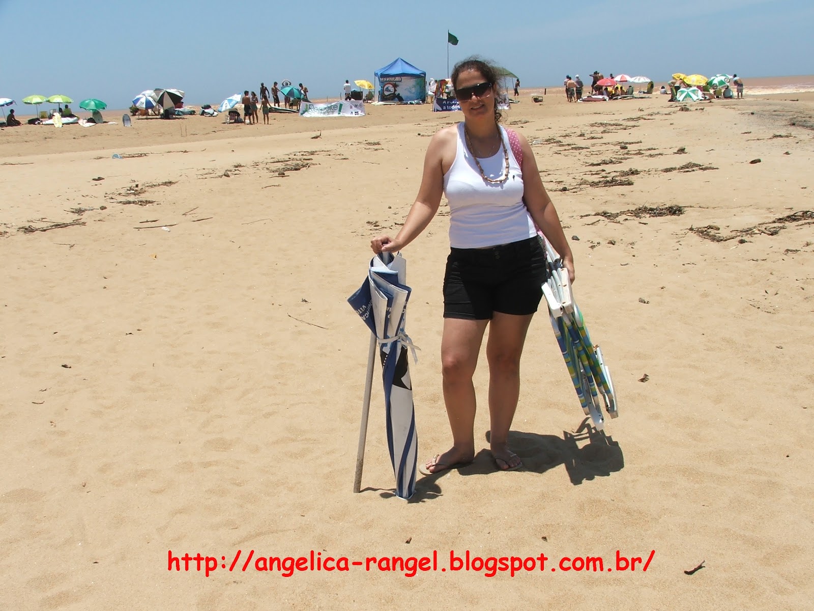 "Um dia de cada vez..." Por Angélica Rangel: novembro 2012