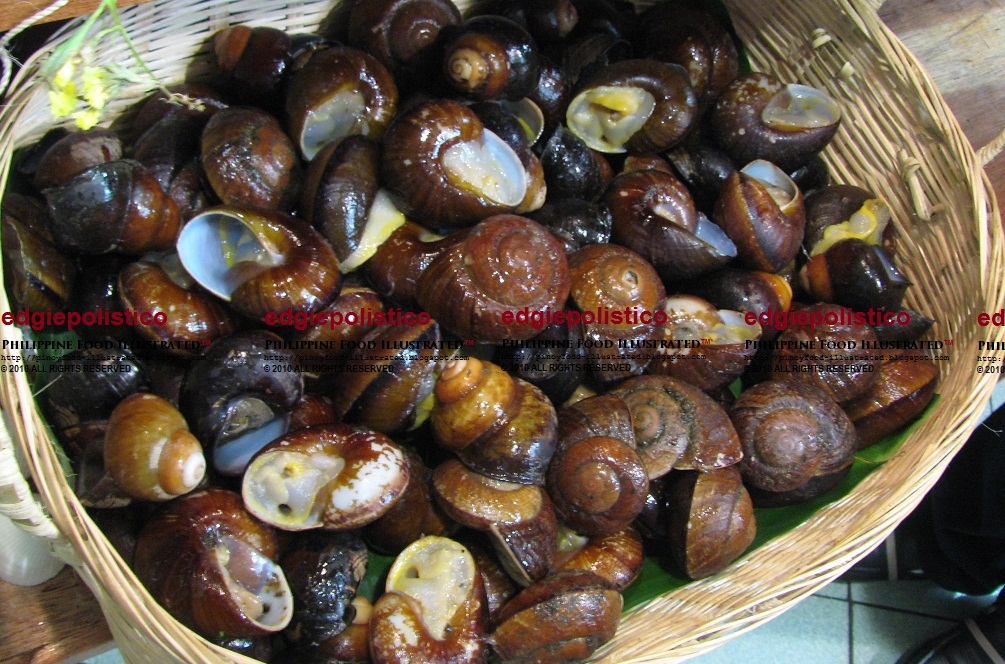 Philippine Food Illustrated: taklong