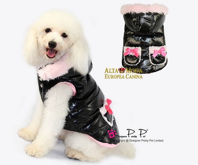 moda canina