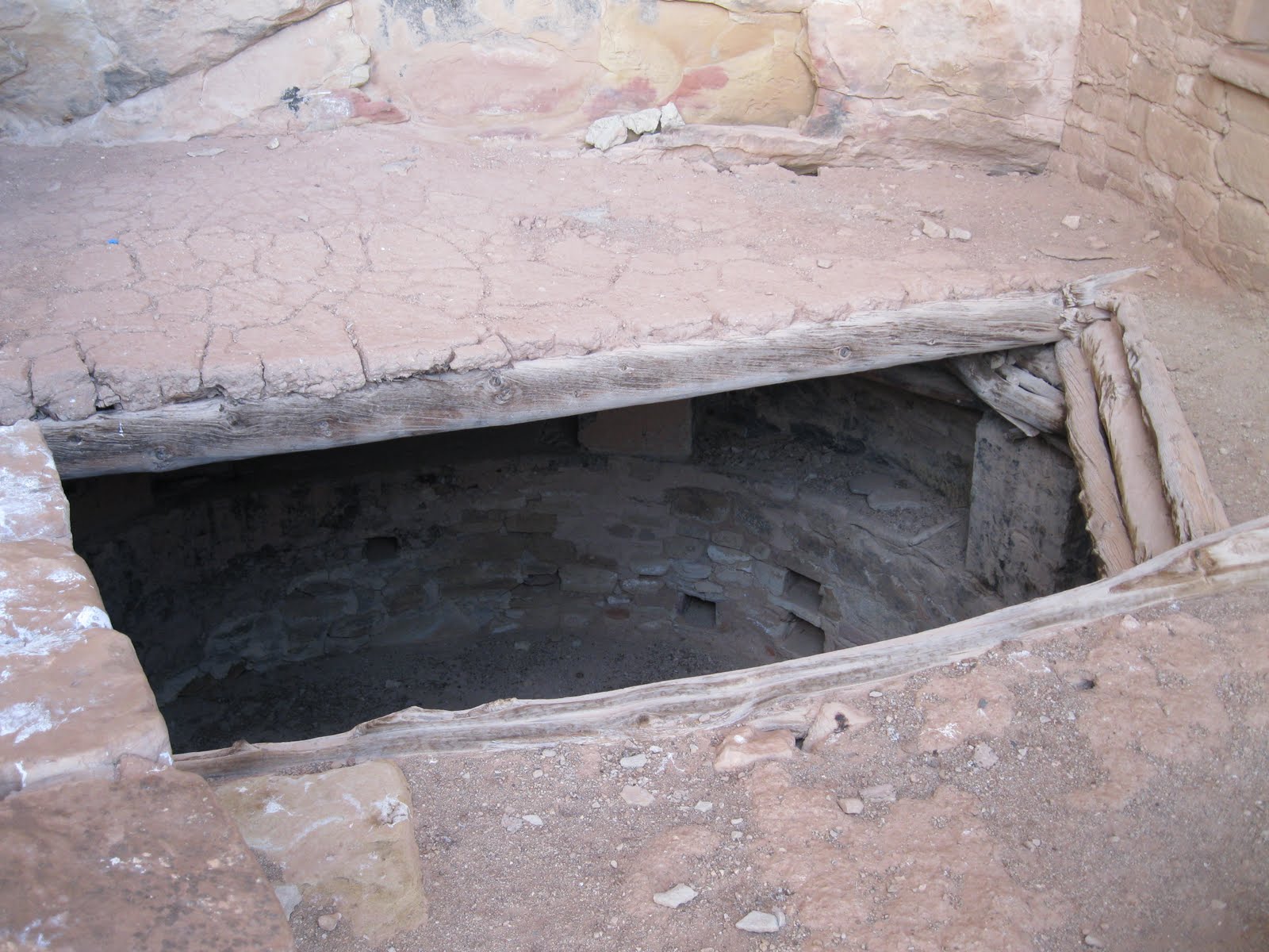 Four Corners Hikes-Mesa Verde: Square Tower House Guided Hike