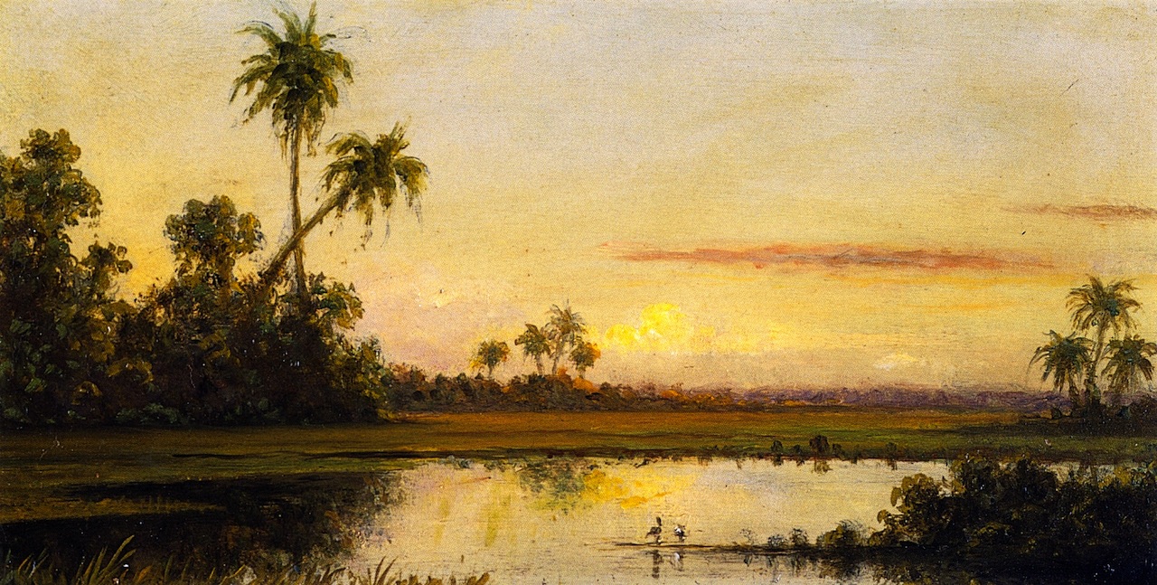 Viático de Vagamundo: Florida by Martin Heade