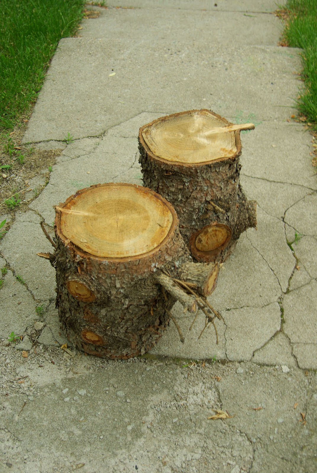 DIY | Secret Forest & Stump Set