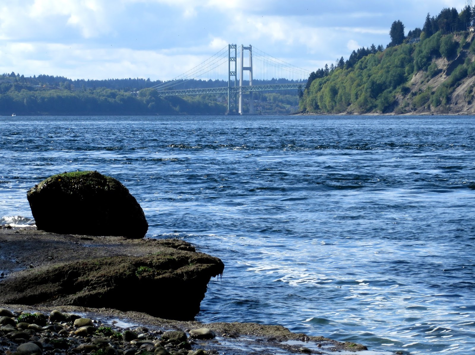 Gravel Beach: Point Defiance