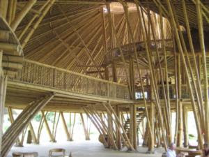 New Wave Ideas: World's Largest Bamboo Commercial Structure