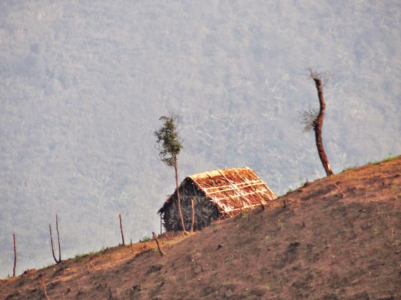 THE WANCHO: ENCHANTED GLIMPSE OF THE WANCHO INHABITED LONGDING DISTRICT ...