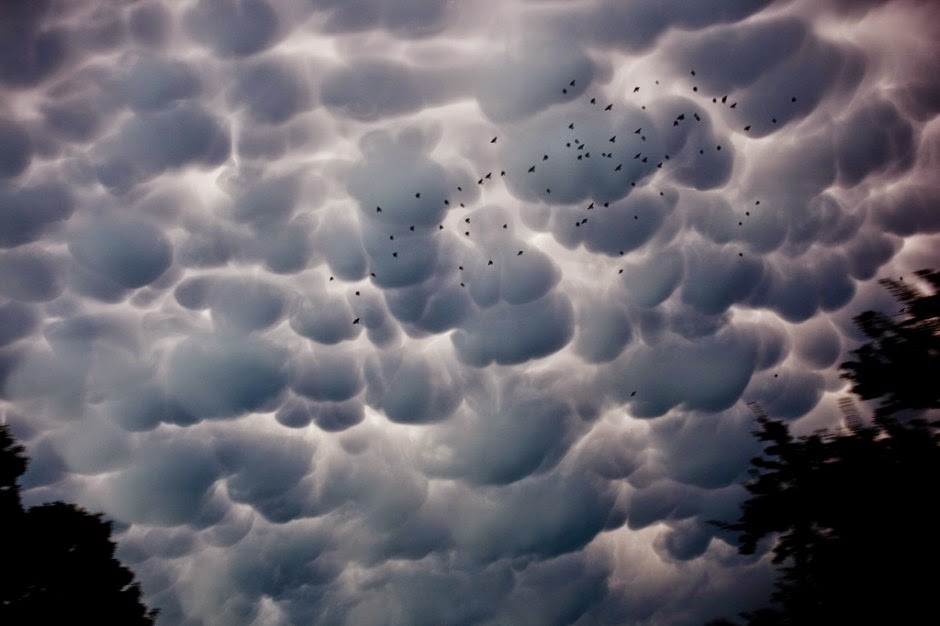 10 different cloud formations