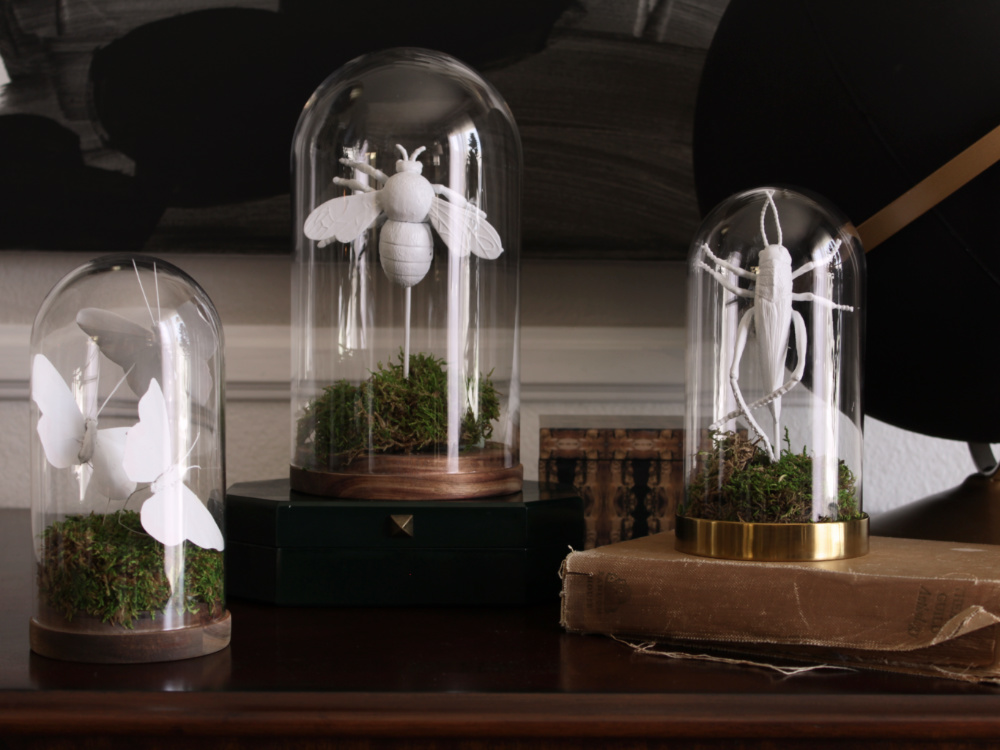 Oscar Bravo Home: DIY Entomology Cloche with Dollar Store Bugs