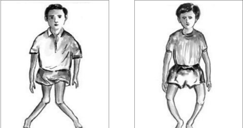 The Poetry of Nature