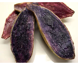 Si Bungsu: MENGENAL MACAM- MACAM JENIS UBI JALAR