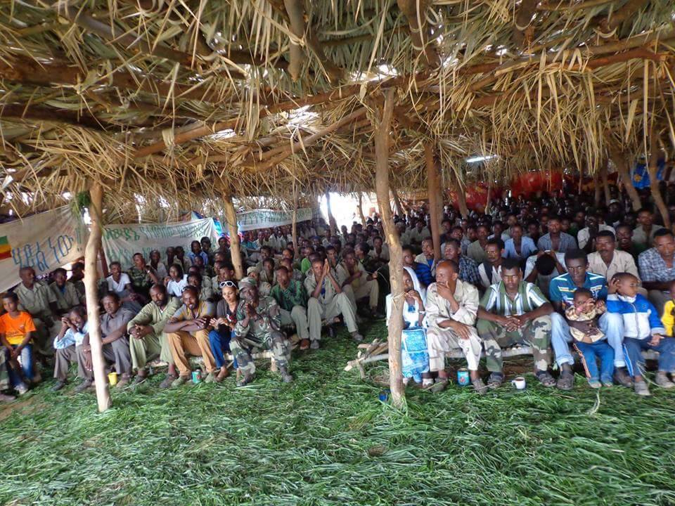 Pictures of Arbegnoch – Ginbot7 Fighters in Eritrea - Madote