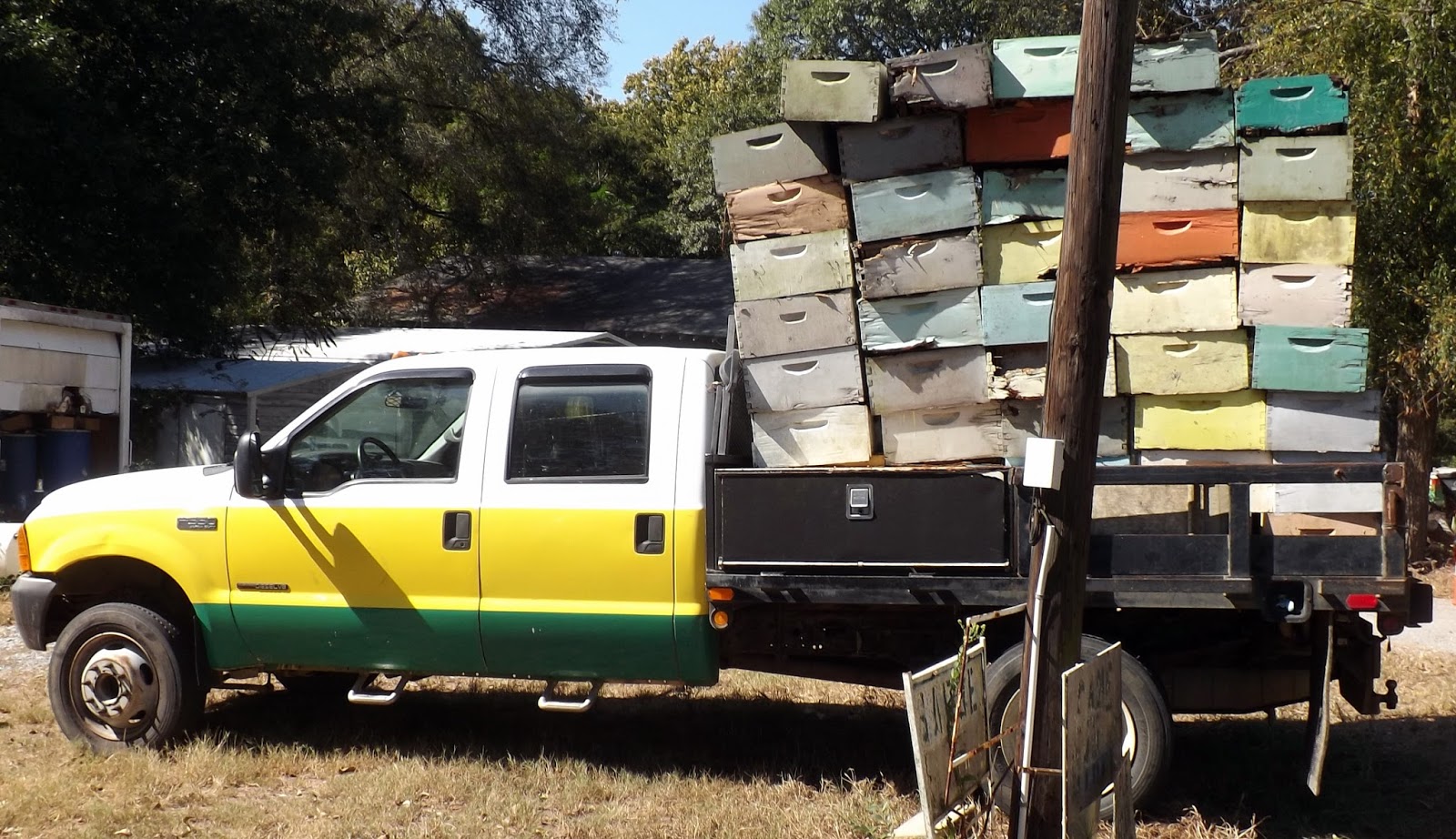 BEEKEEPING Beekeeper Honey Bees Pollen Wax Candle Propolis Queen Nuc ...