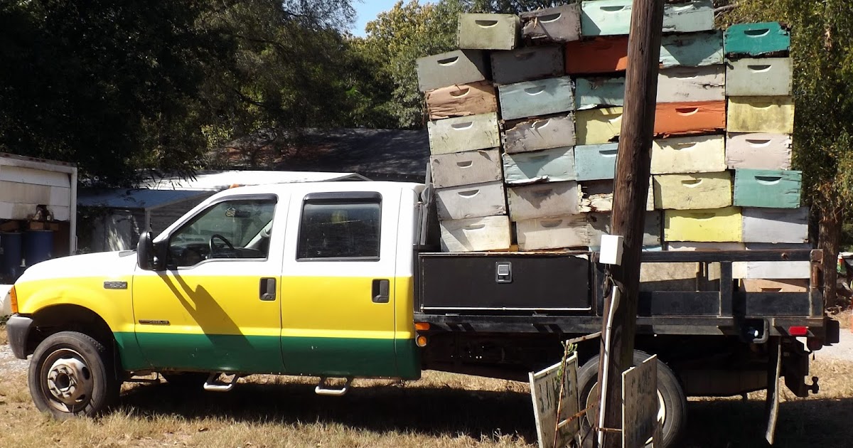 BEEKEEPING Beekeeper Honey Bees Pollen Wax Candle Propolis Queen Nuc ...