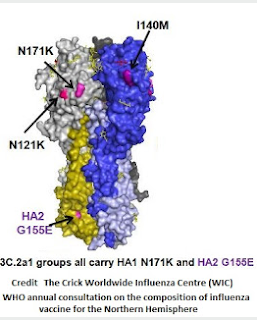 Avian Flu Diary: April 2019