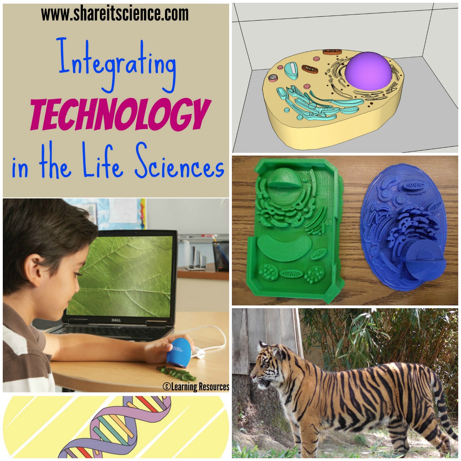 Share it! Science : Integrating Technology in the Life Sciences
