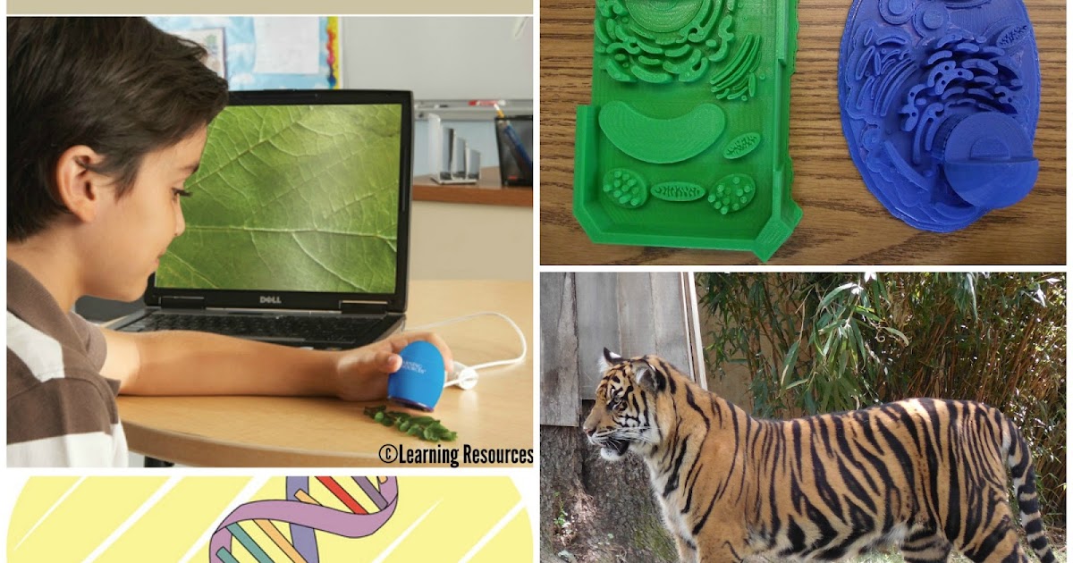 Share it! Science : Integrating Technology in the Life Sciences