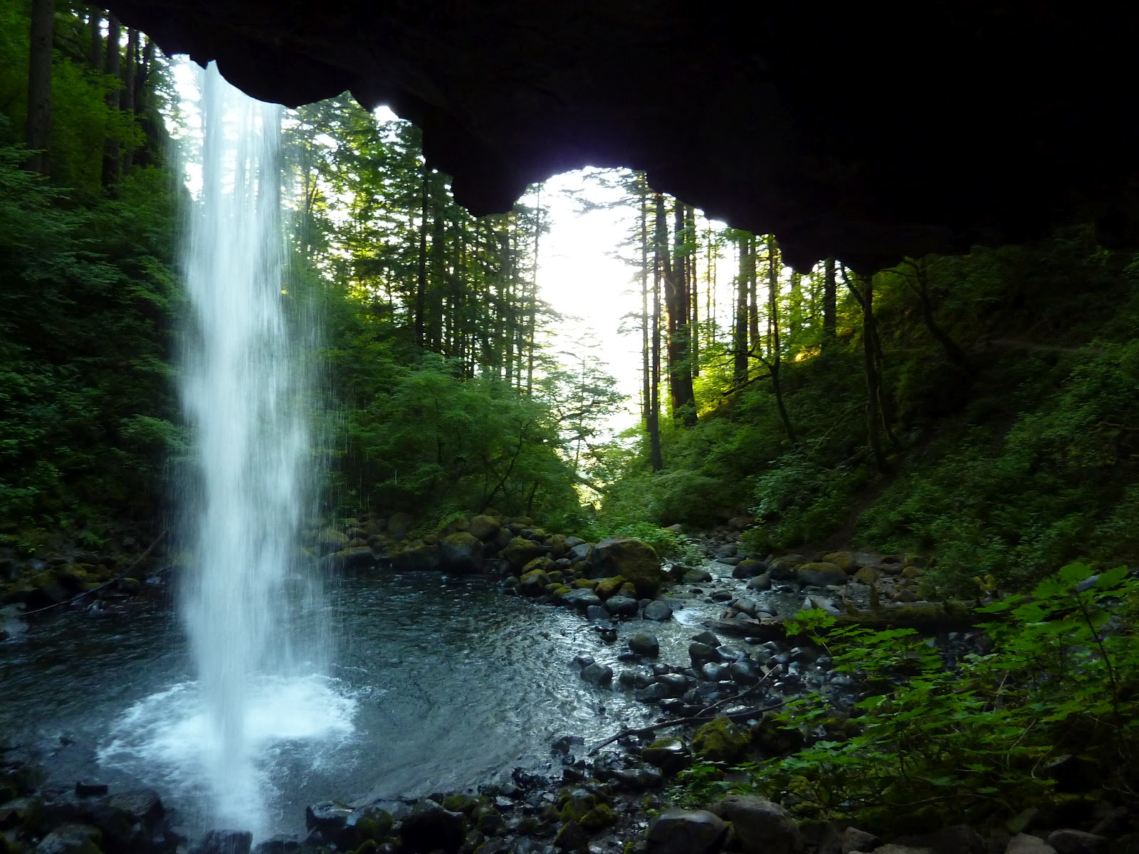 The Still Wild West: Mount Rainier National Park and Multnomah Falls area