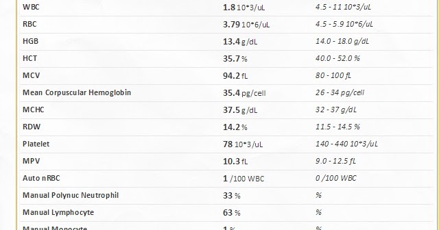 My Acute Myeloid Leukemia Journey.: A new chapter?? Maybe.