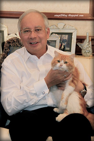 Kucing peliharaan Perdana Menteri , Dato' Najib .. | Blog Muhamad Syafiq